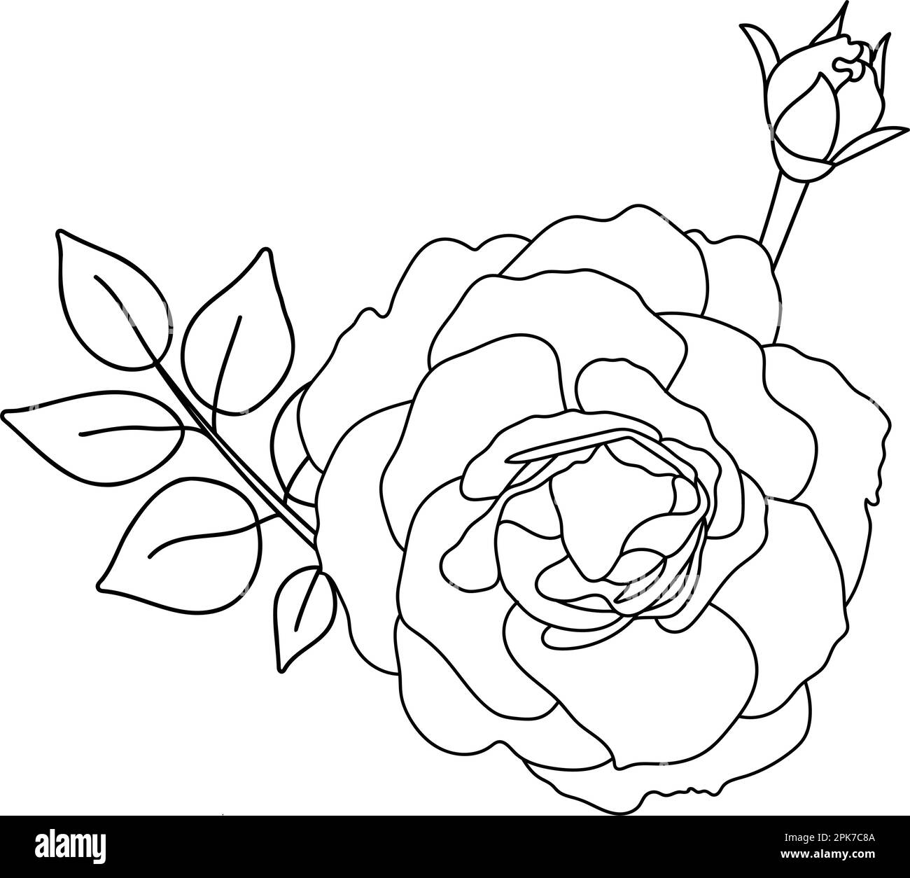 Rose hand drawn illustration in vecor. Sketches, line art Stock Vector ...