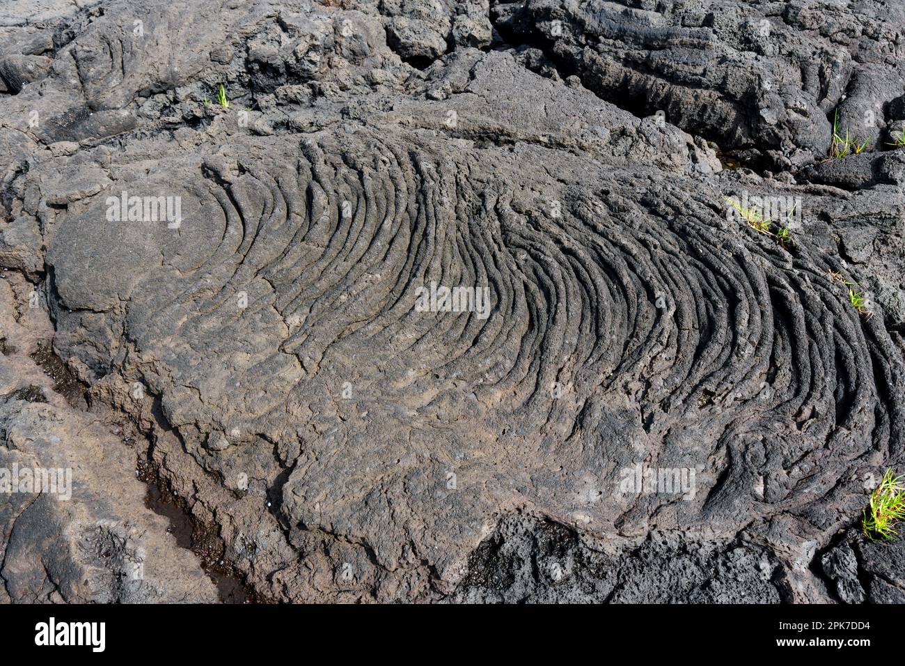 Intricate folds and patterns of Hawaii's coastline created by the ...