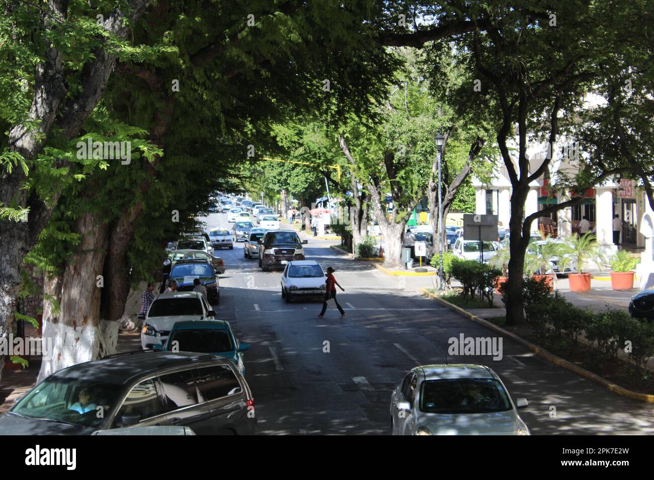 Tree lined downtown street hi-res stock photography and images - Alamy