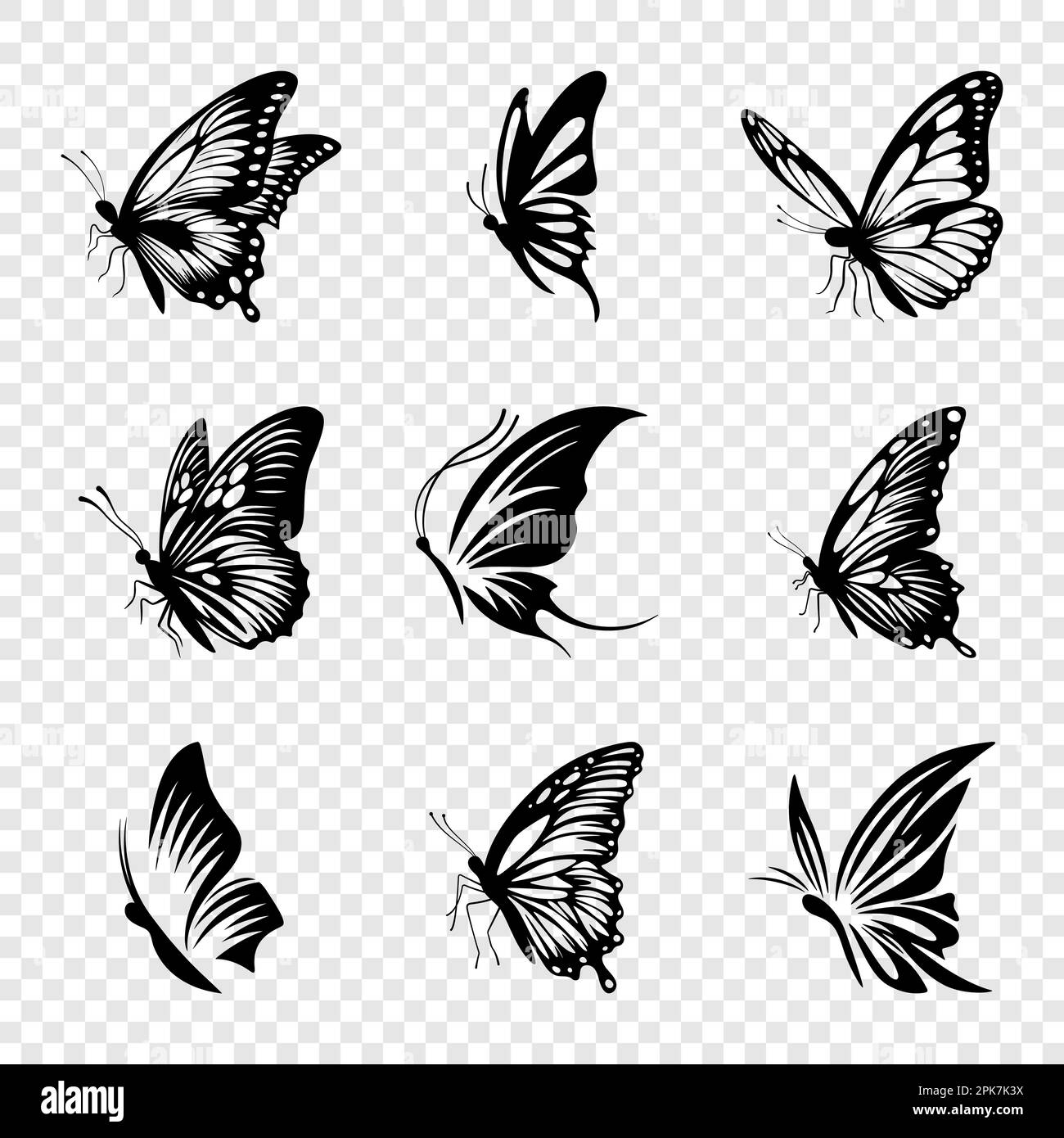 Vector Monochrome Black and White Hand Drawn Butterfly Icon Set ...