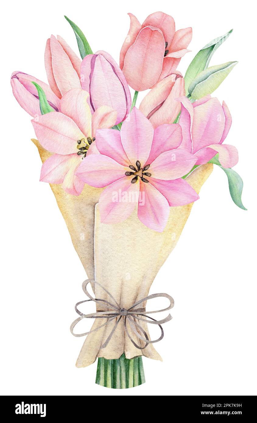 Watercolor pink tulips bouquet. Spring flowers in a wrapper Stock Photo ...