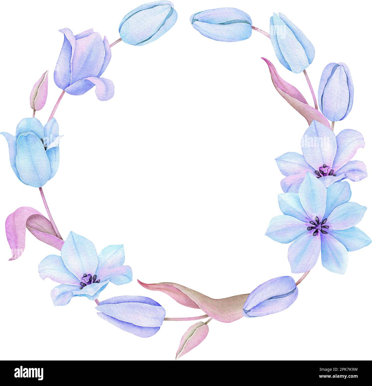 Watercolor blue tulip wreath. Spring floral frame Stock Photo - Alamy