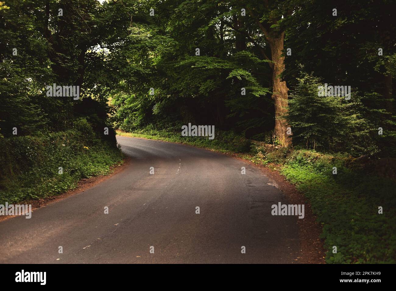 Beautiful road among greenery in England Stock Photo - Alamy