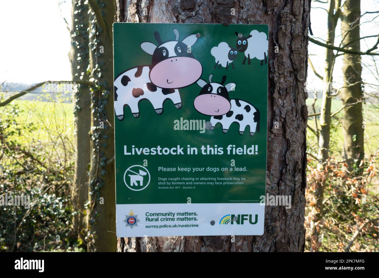 Livestock in this field! sign, please keep your dogs on a lead, Surrey ...