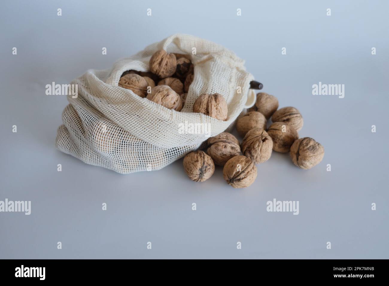 Shelled walnuts, pile of walnuts in shellin falling from a white cloth ...