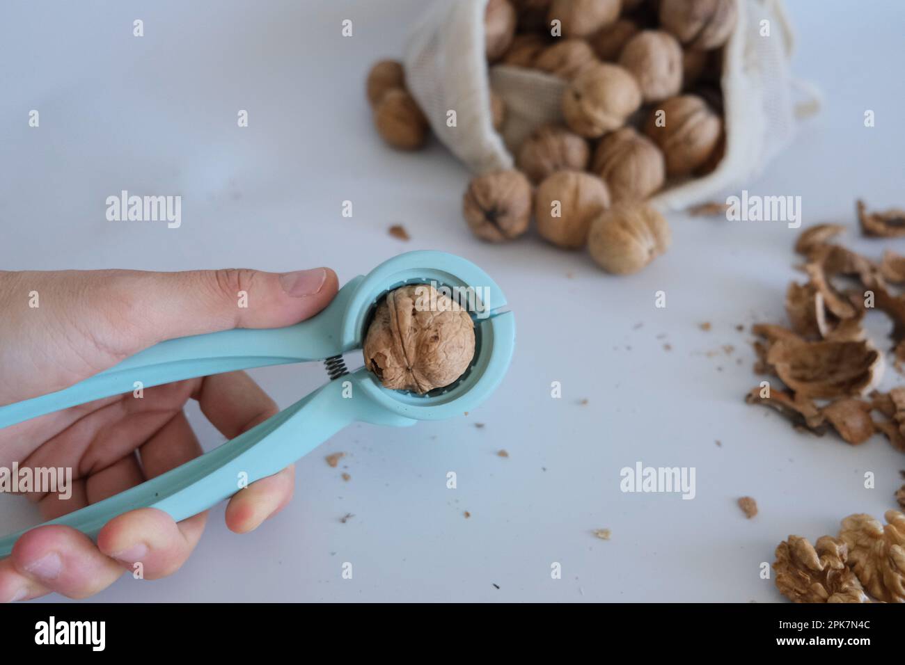 Nutcracker with a shelled walnut in a woman's hand on a white ...