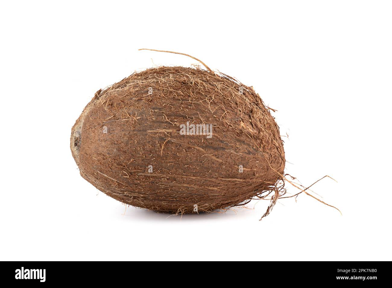 Texture of coconut wood Cut Out Stock Images & Pictures - Alamy