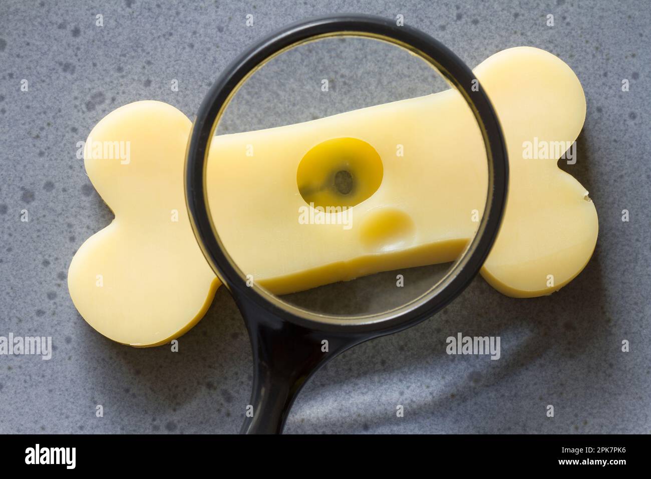 Cheese bone and magnifier, concept osteoporosis and prevention Stock ...