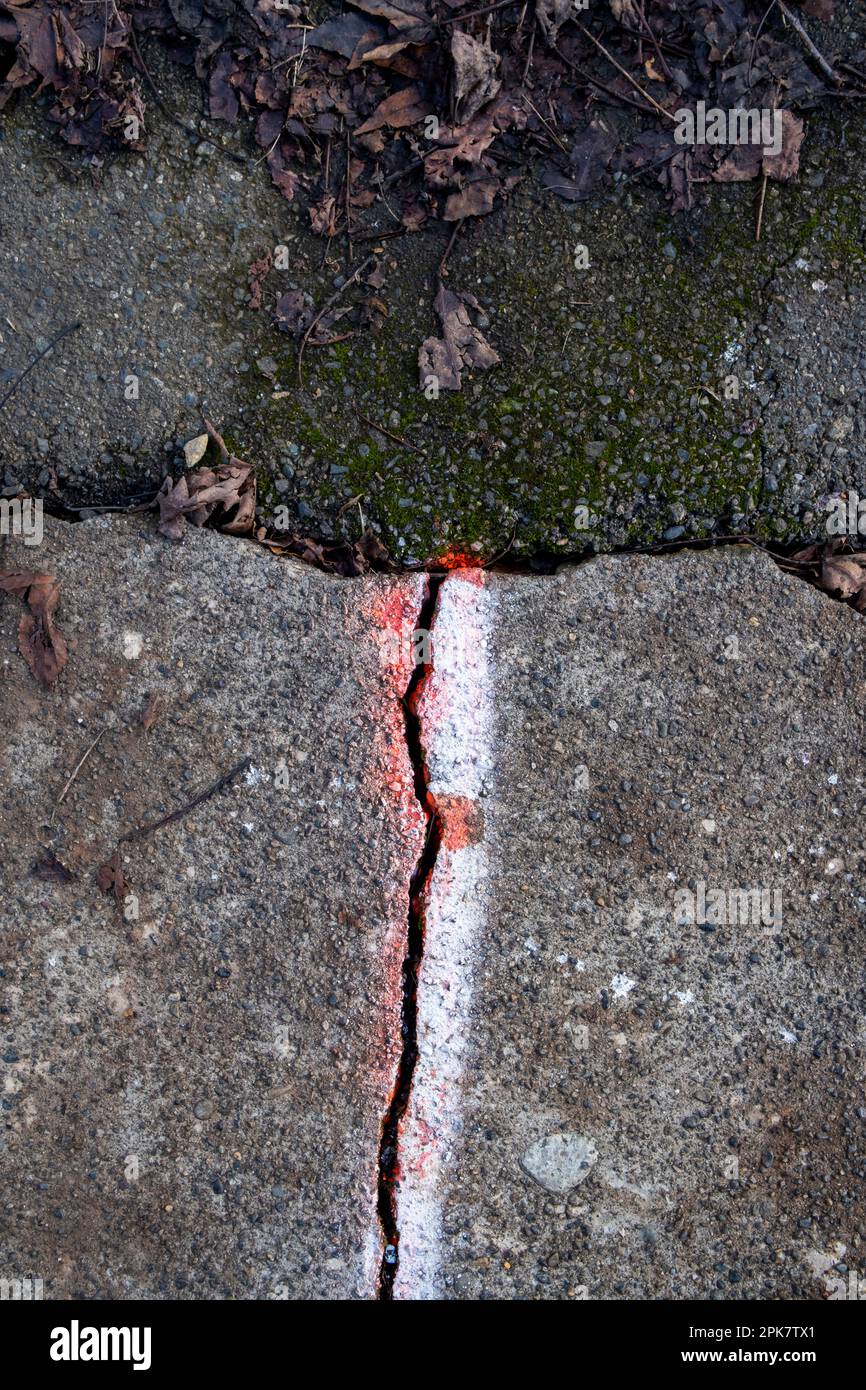 A crack between flagstones painted with a white line, on a concrete ...