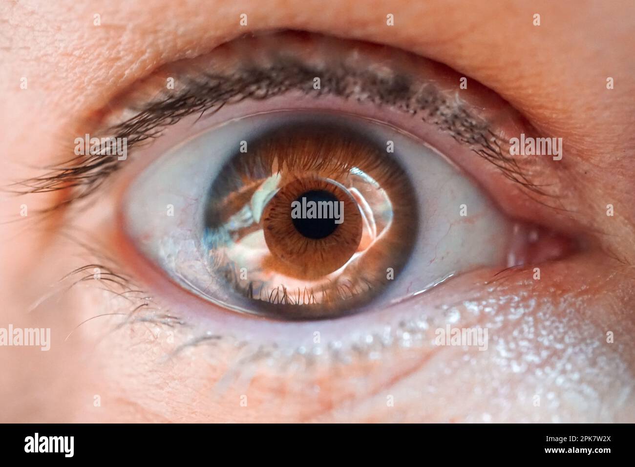 Body part hi-res stock photography and images - Alamy