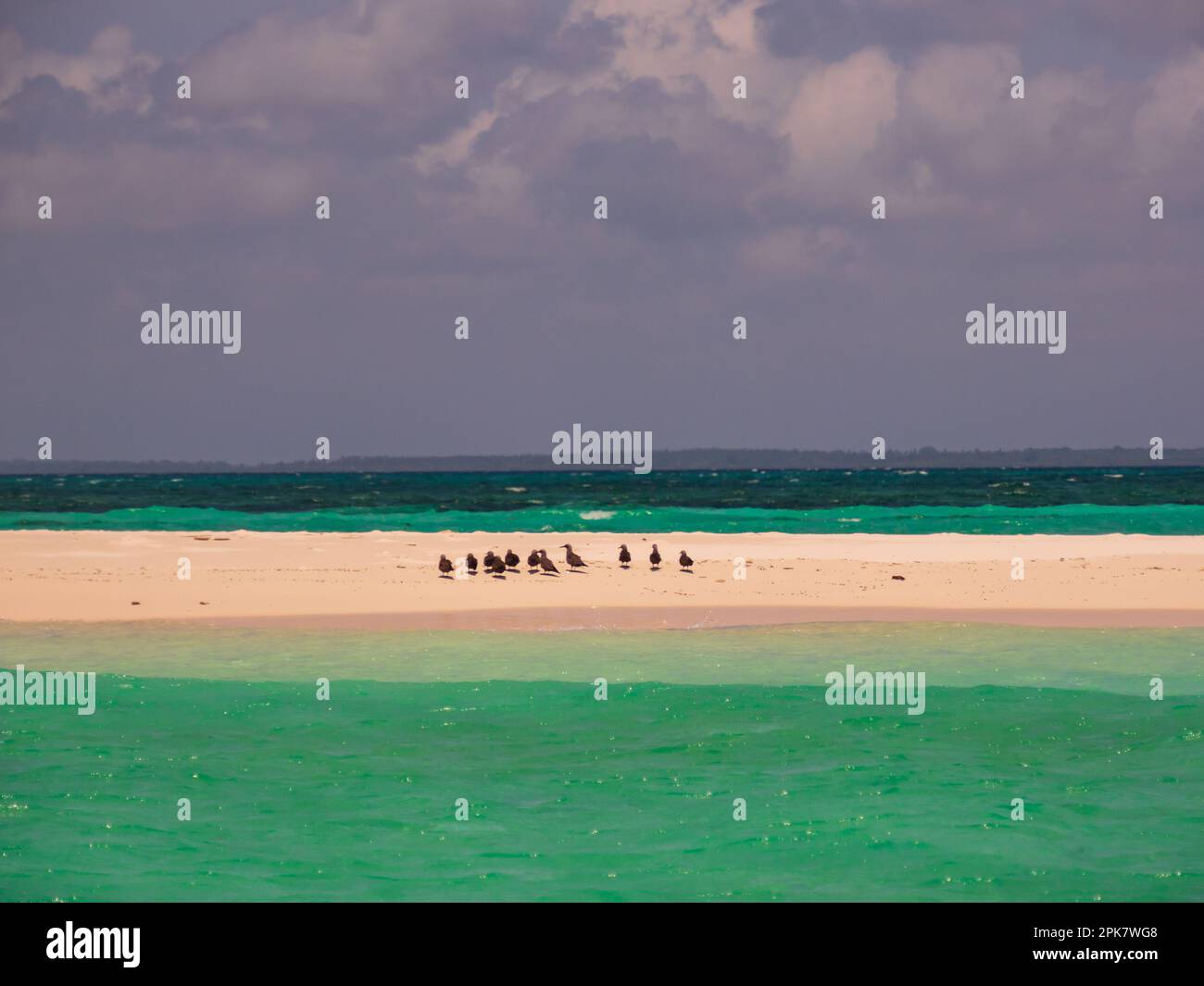 Birdson sandbank in Menai Bay with beautiful sandy beach and lazure ...