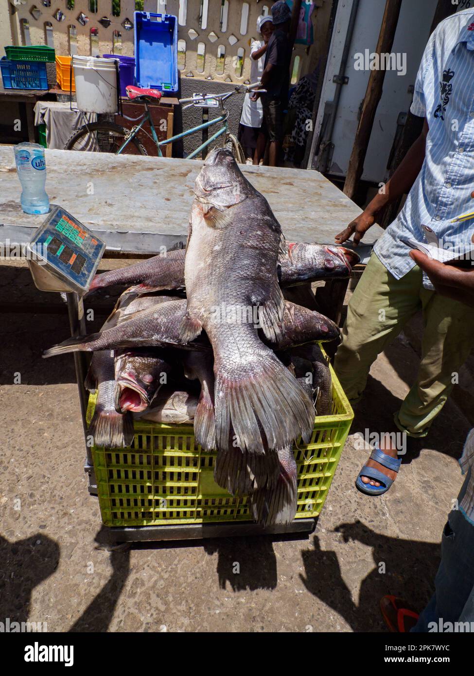 Dar es Salaam, Tanzania - February 2021: A fisherman sells a huge fish ...