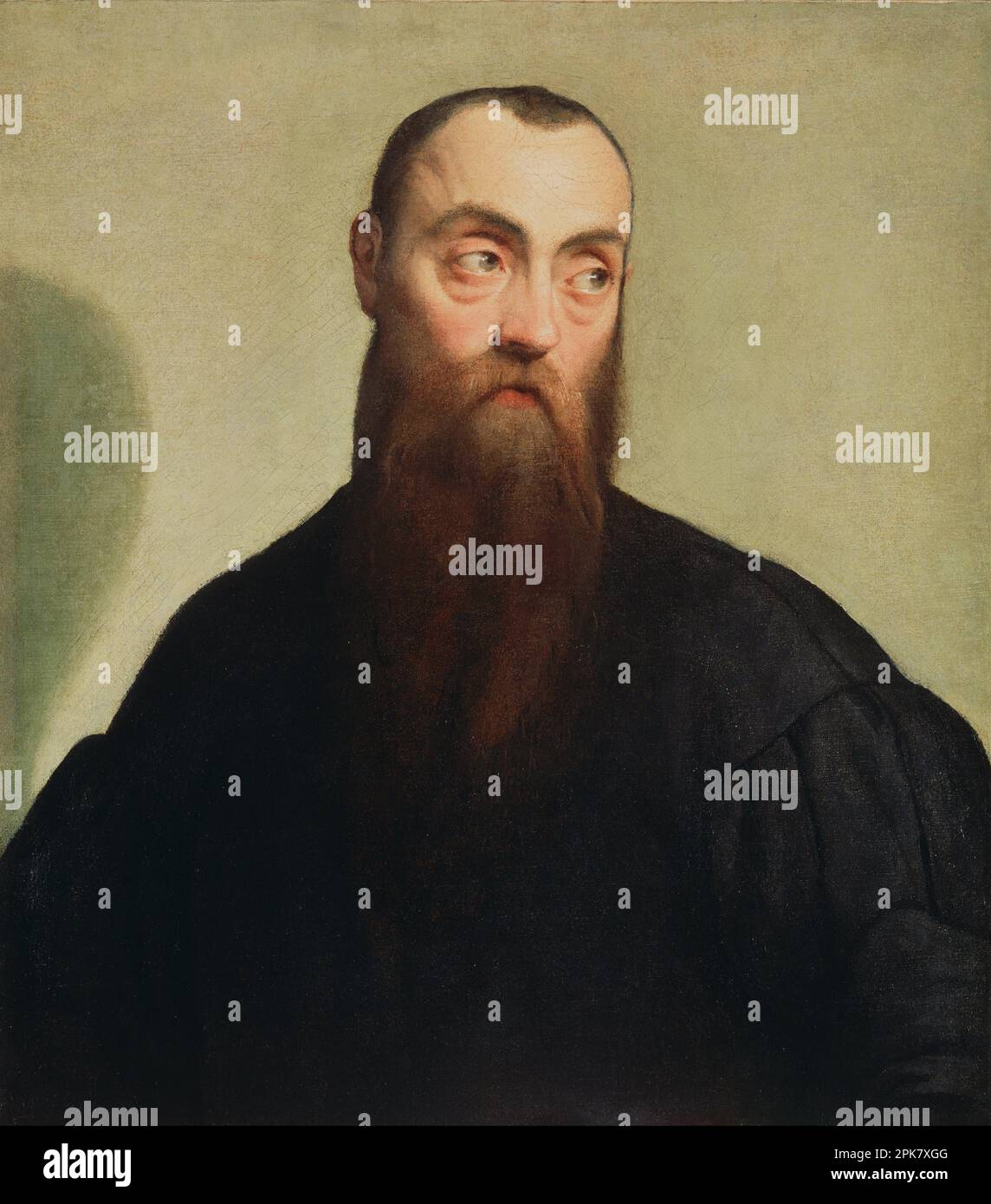 Portrait of a Bearded Man about 1550 by Jacopo Bassano Stock Photo - Alamy