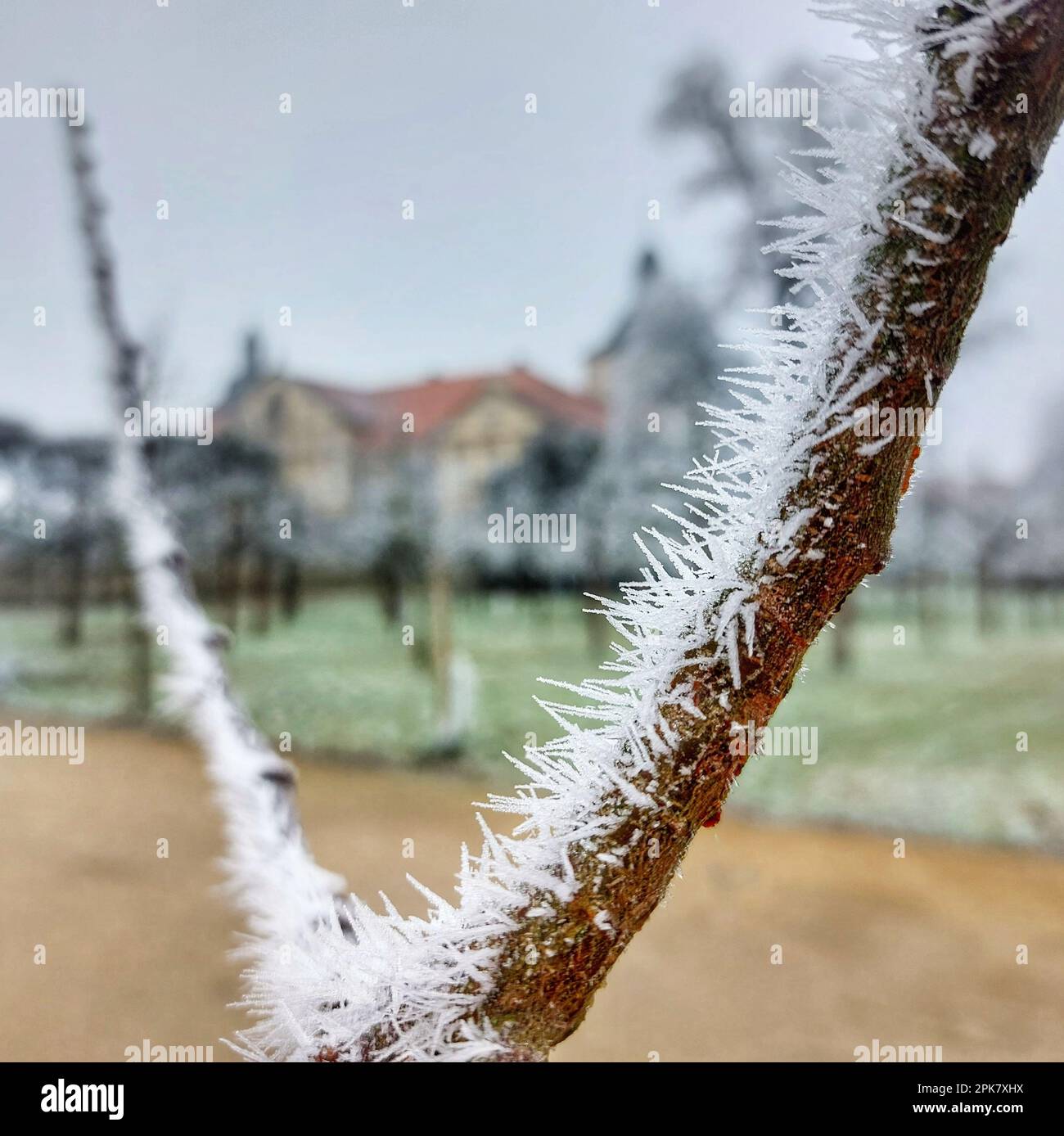 Needle shaped crystals hi-res stock photography and images - Alamy