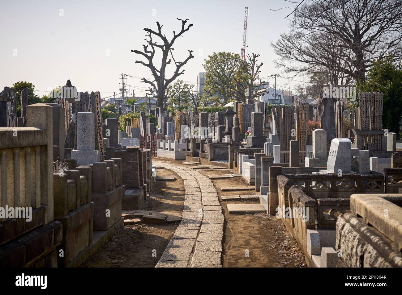 Yanaka cemetery park hi-res stock photography and images - Alamy
