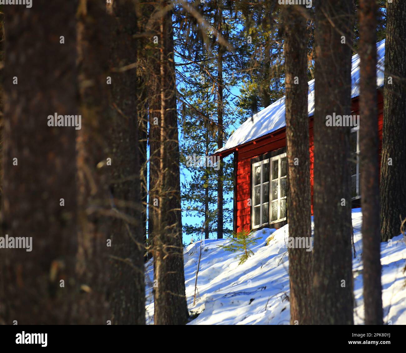 Red cabin in the woods in northern Sweden at wintertime Stock Photo - Alamy