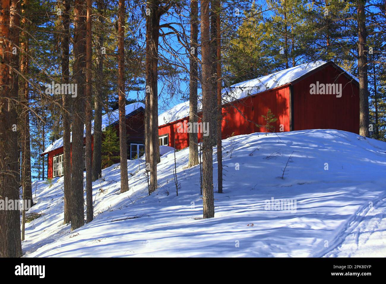 Red cabins in the woods in northern Sweden at wintertime Stock Photo ...
