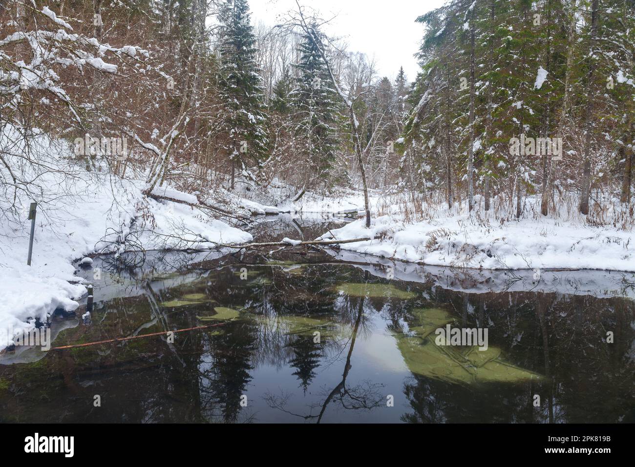 Siniallikad hi-res stock photography and images - Alamy