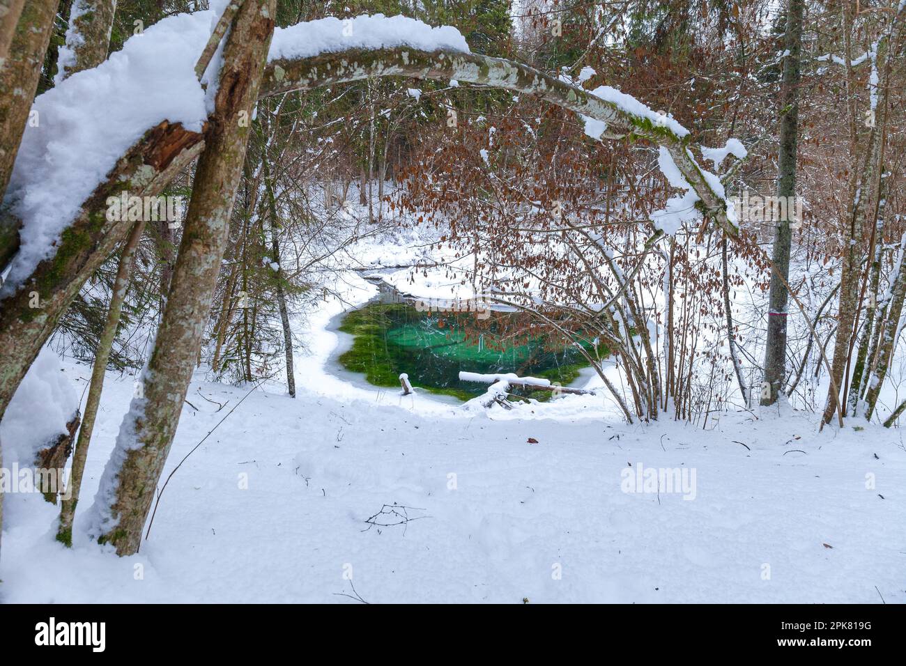 Saula blue springs siniallikad hi-res stock photography and images - Alamy