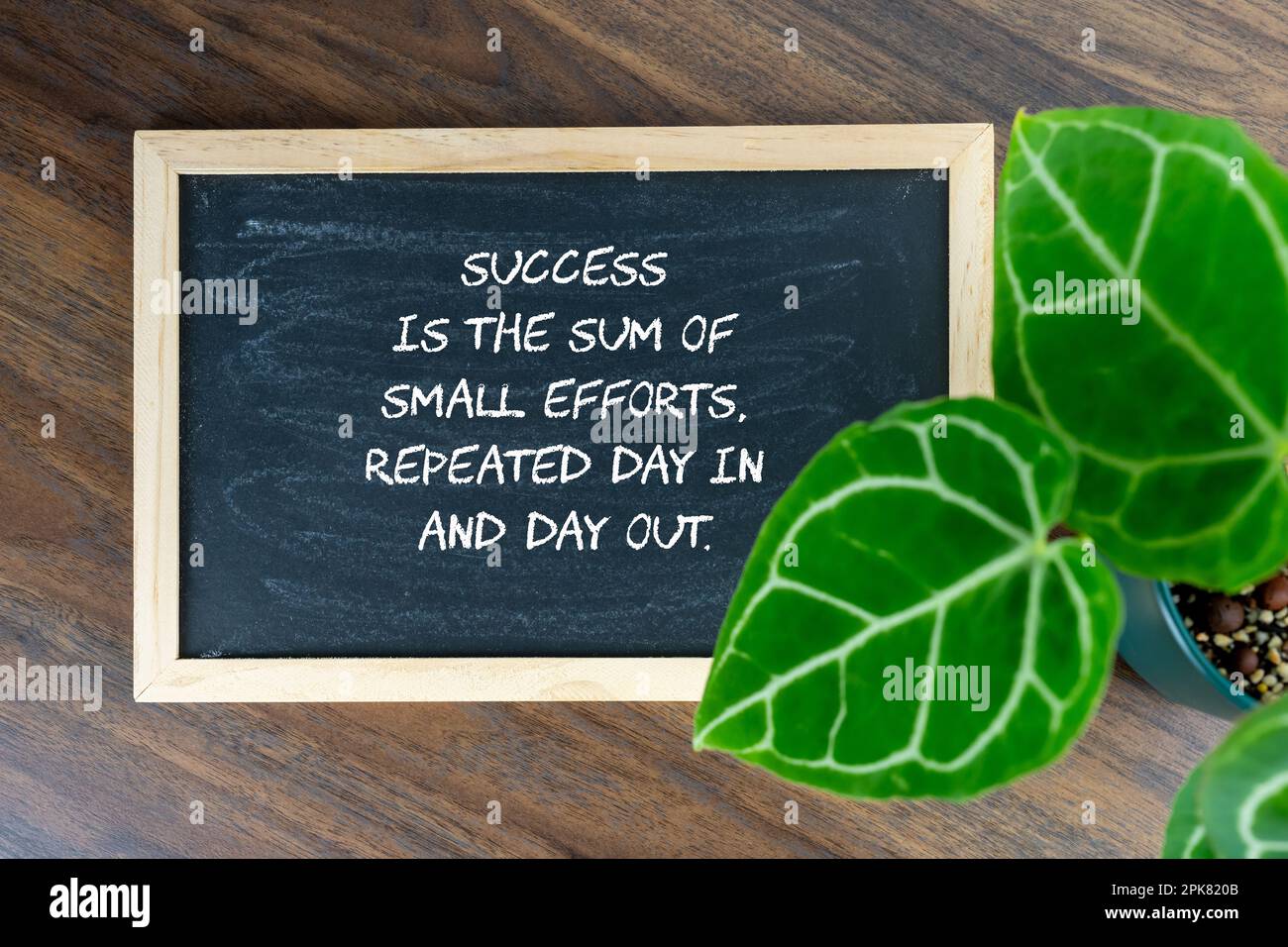 Inspirational quotes text Success is the sum of small efforts, repeated ...