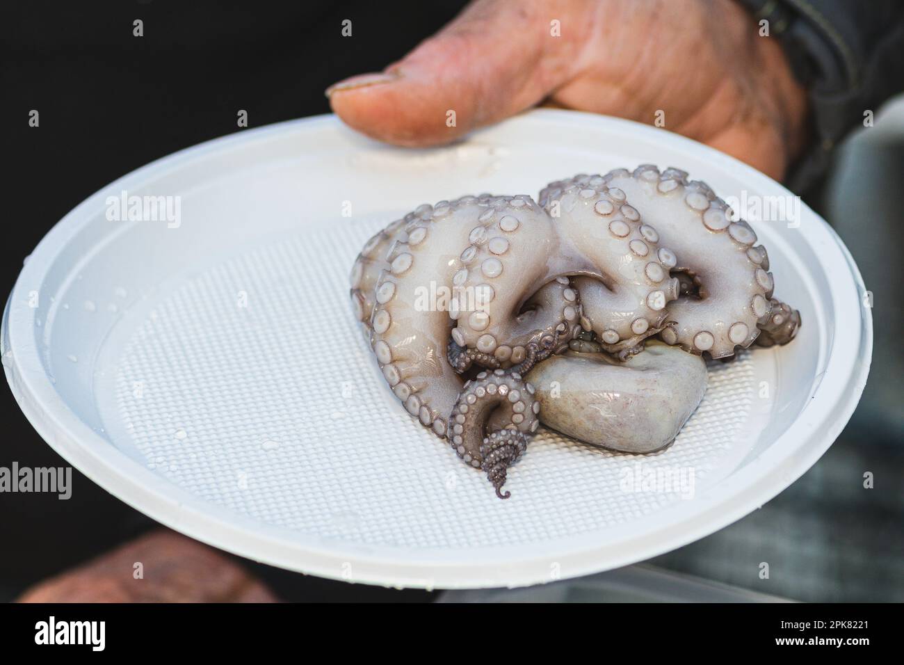 Fresh raw octopus ready to eat in a plate in a street fish market in ...