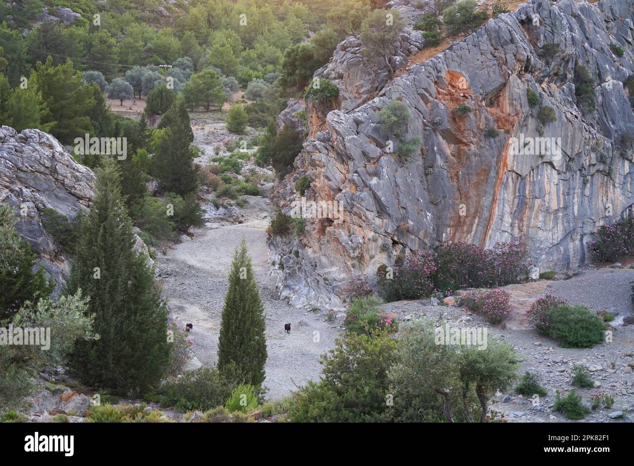 Canyon in Rhodes Greek Island dry River in the summer, Schlucht in ...