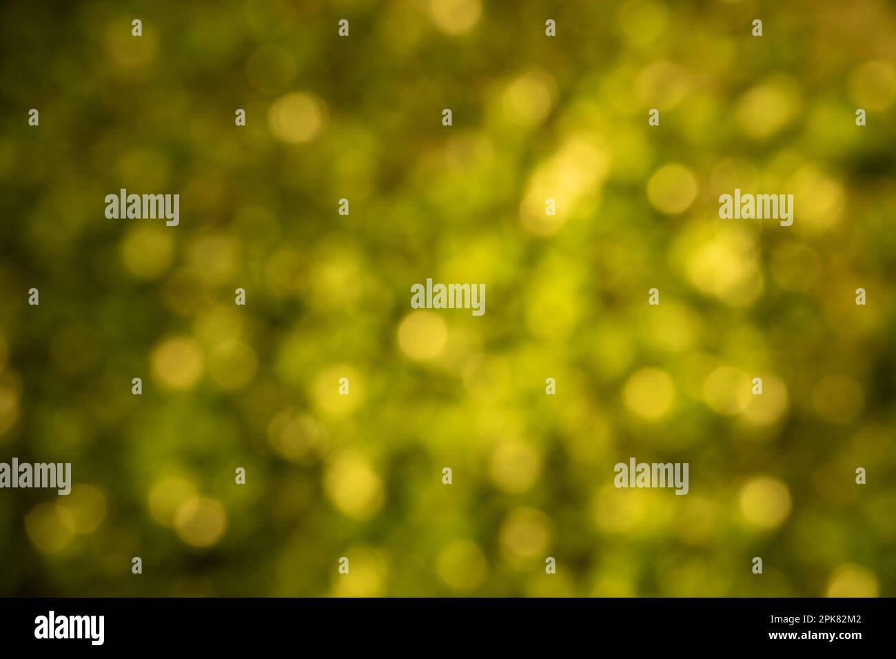 Bokeh natural background hi-res stock photography and images - Alamy