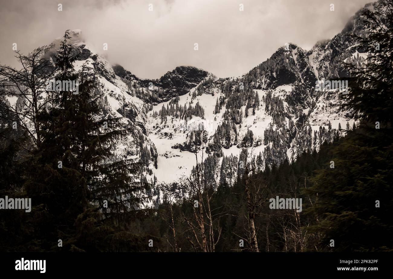Golden Ears Provincial Park located in Maple Ridge, British Columbia ...