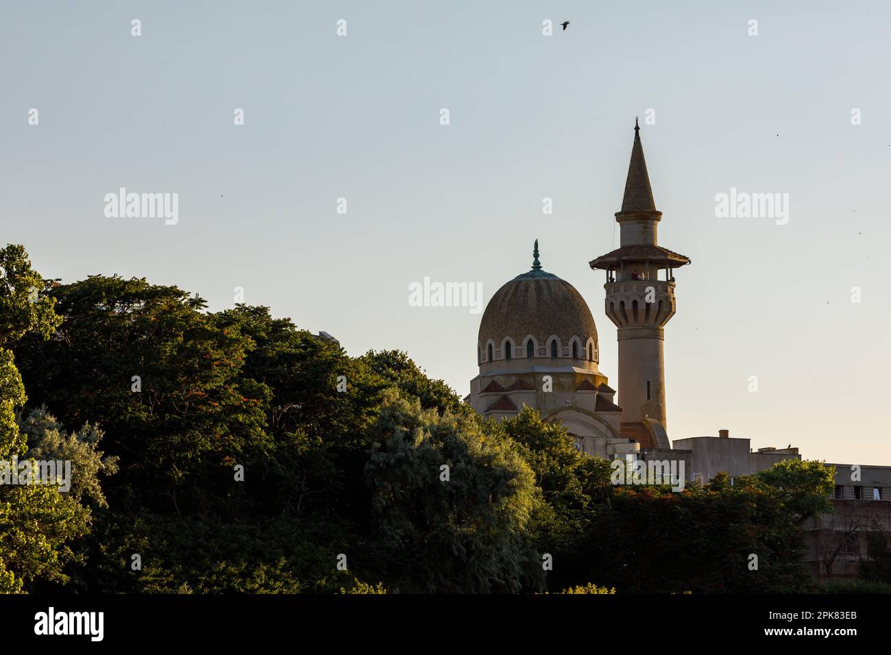 The mosque of Constanta at the Black Sea Stock Photo - Alamy