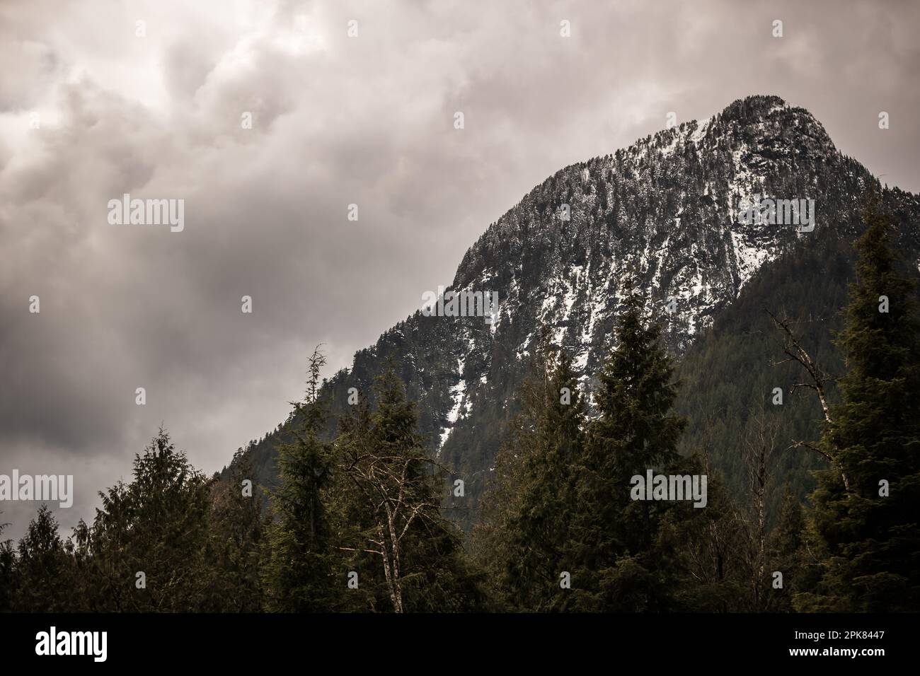 Golden Ears Provincial Park located in Maple Ridge, British Columbia ...