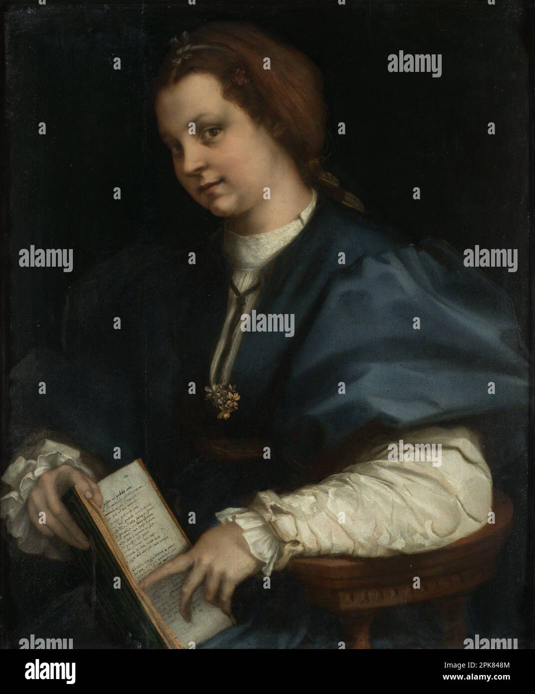 Lady with a book of Petrarch's rhyme 1528 by Andrea del Sarto Stock ...
