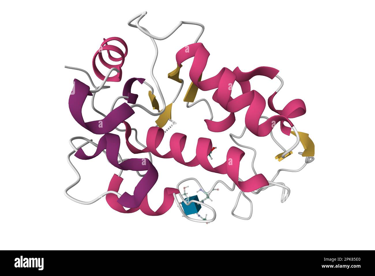 Crystal structure of human egg membrane protein JUNO. 3D cartoon model ...