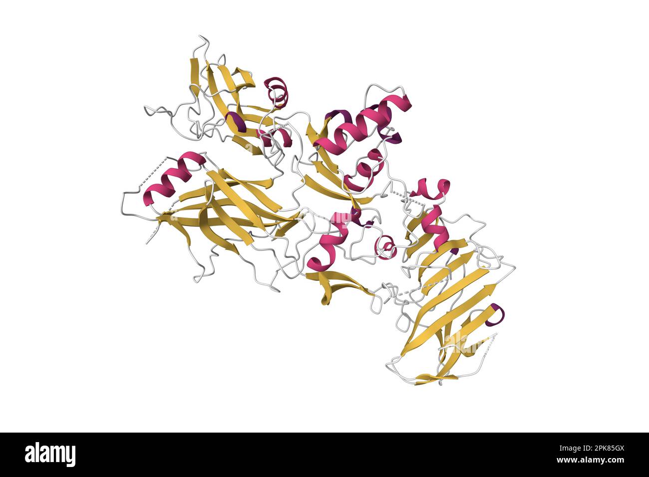 Anthrax protective antigen. 3D cartoon model, secondary structure color ...