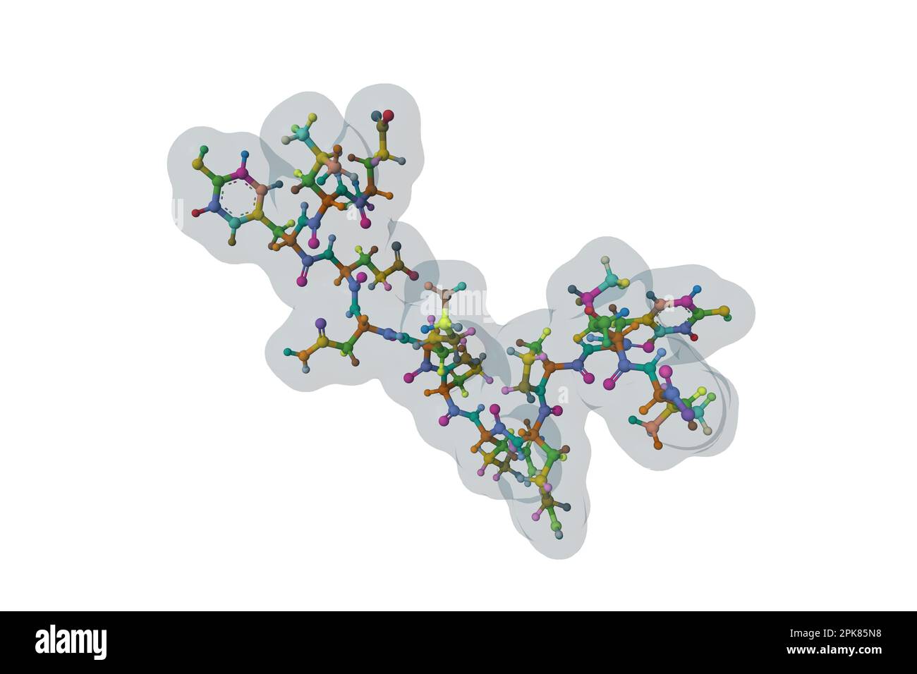 Structure of hormone neurotensin. 3D ball-and-stick and Gaussian ...