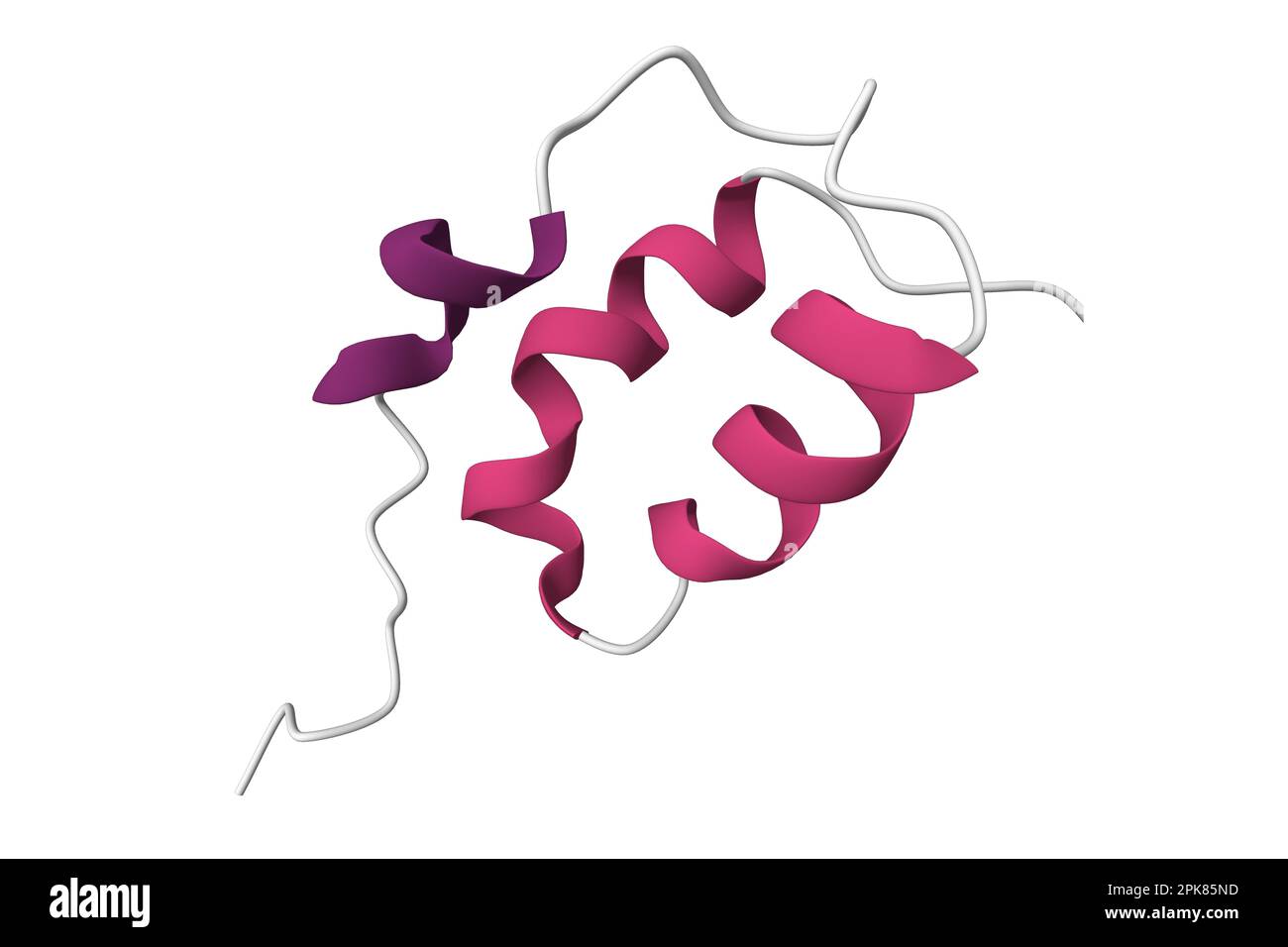Structure of mouse pheromone ESP1. 3D cartoon model, secondary ...