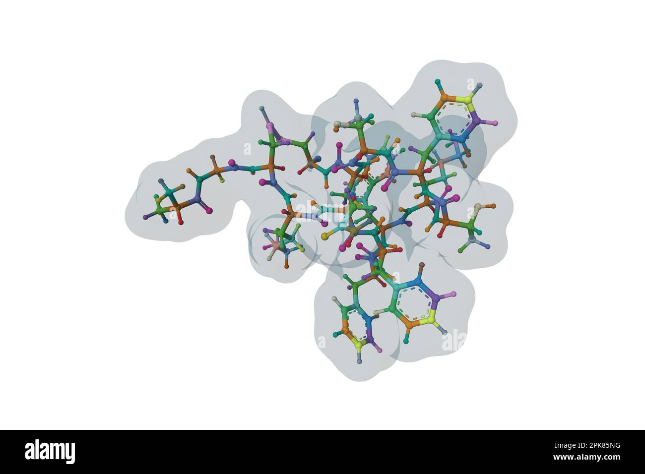 Structure of hormone somatostatin. 3D ball-and-stick and Gaussian surface model, PDB 2mi1, white ...