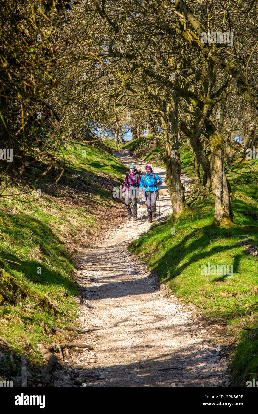Two people walking along a woodland path making there way down from ...