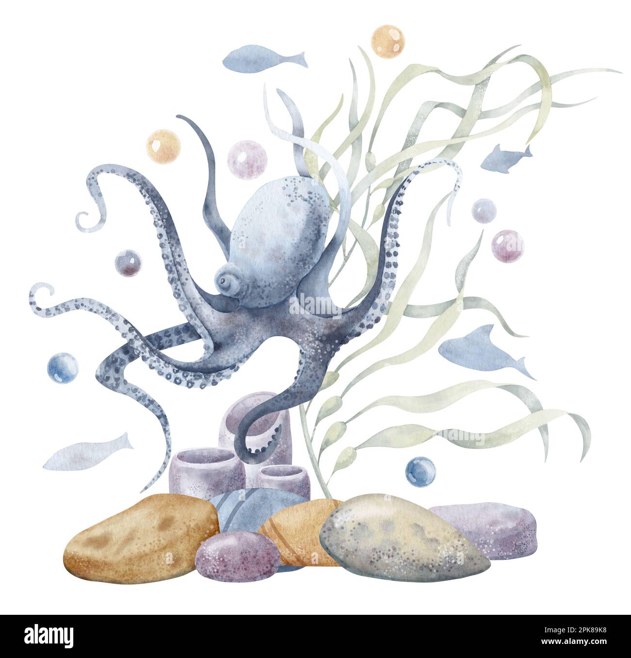 Octopus with Seabed and Seaweed. Hand drawn watercolor undersea ...