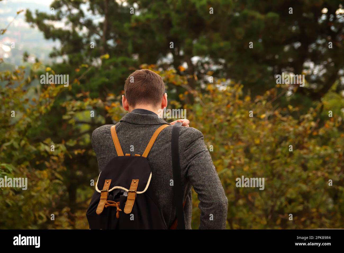 Back view of young brunette man walking. Man with rucksack in the ...