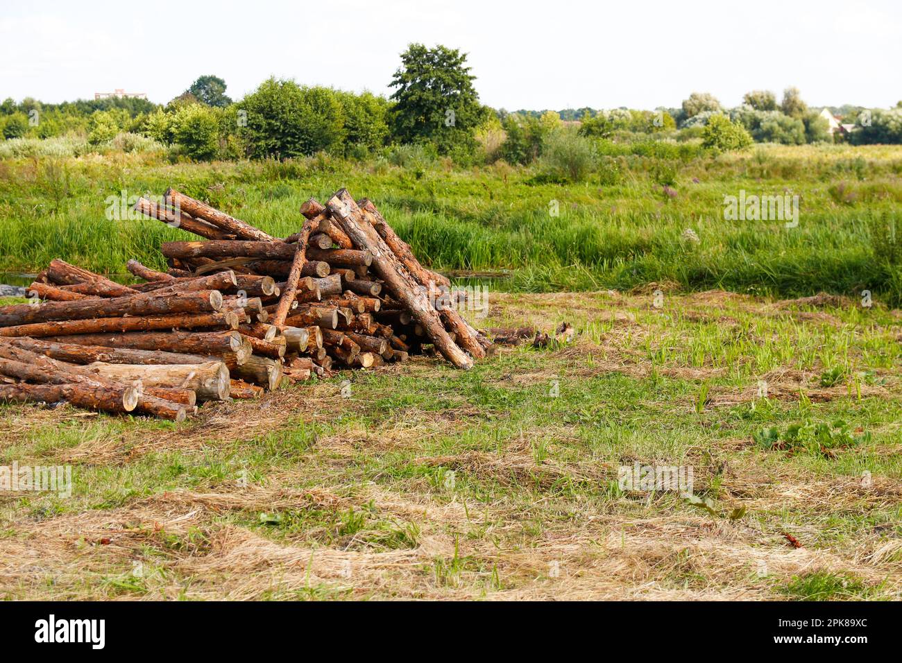 Pile firewood. Dry wood for bonfire in green grass meadow. Camping ...