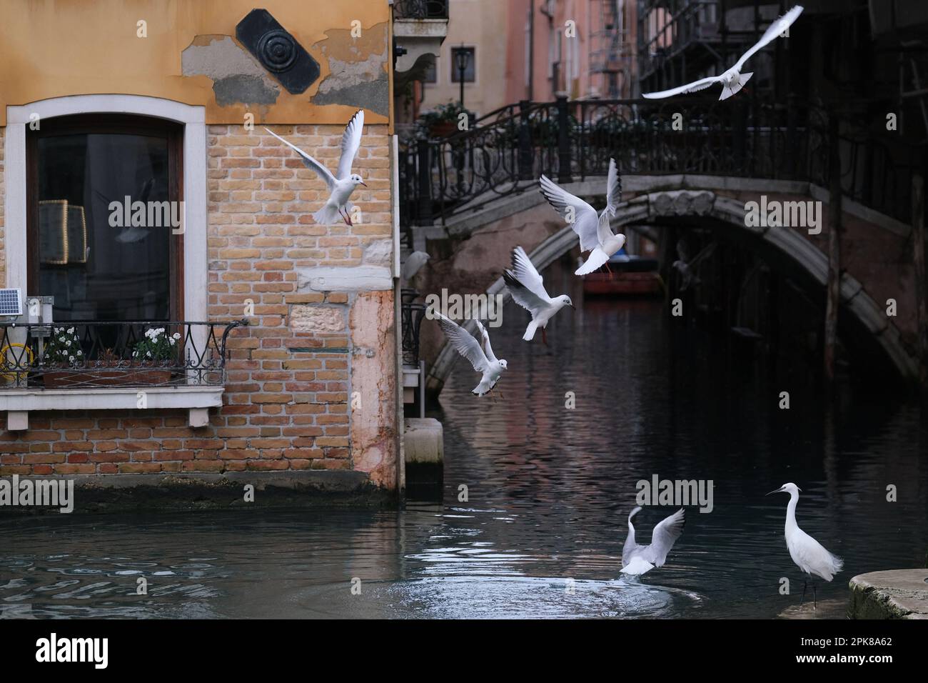 Vedute venezia hi-res stock photography and images - Alamy