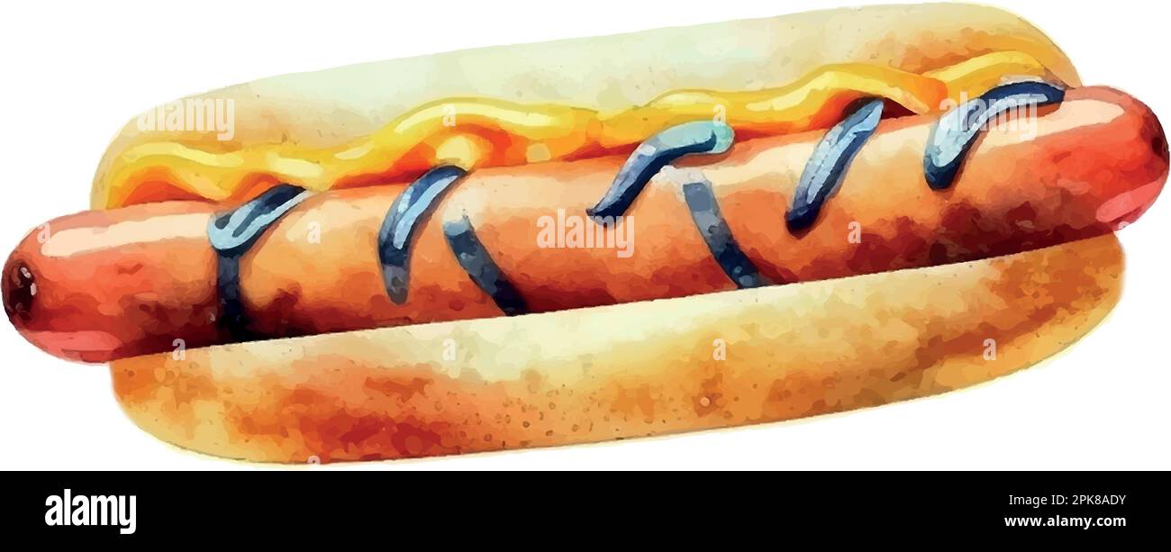 Hand Drawn Hot Dog, Watercolor Sketch,Vector Illustration For Food ...