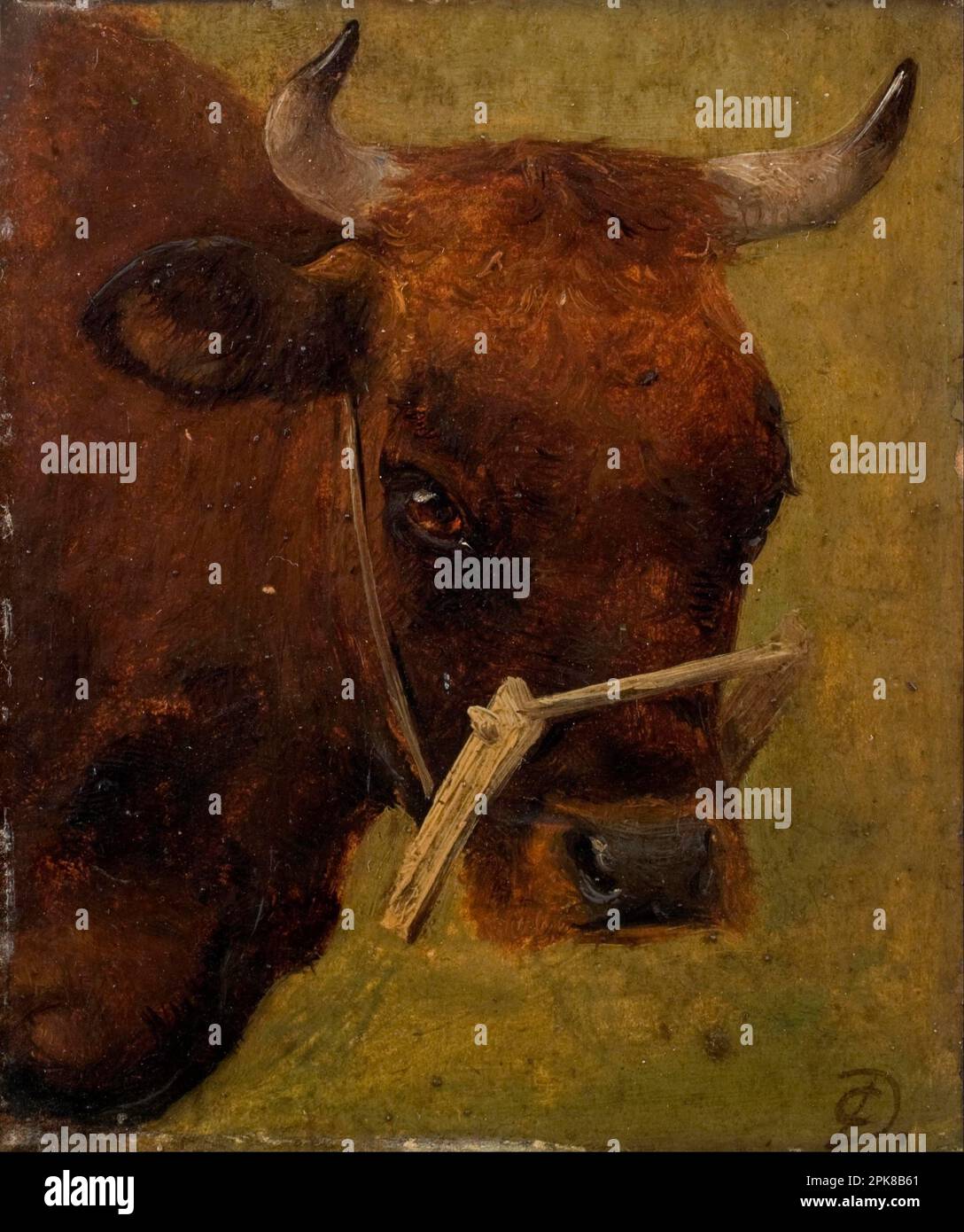 Head of a cow. Study 1845 by Carlo Dalgas Stock Photo - Alamy