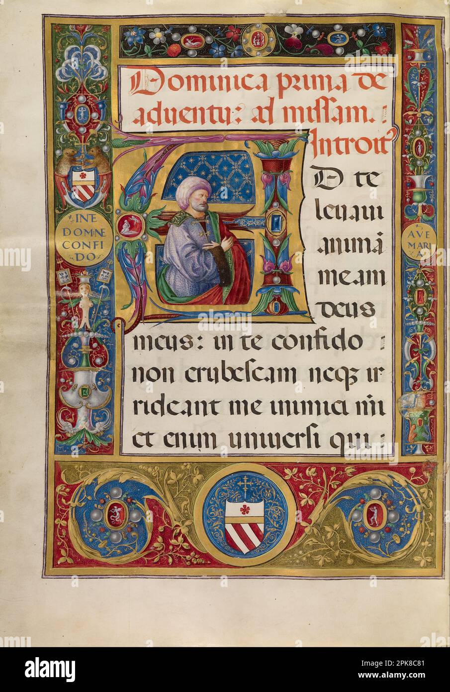 Initial A: King David 1520 by Matteo da Milano Stock Photo - Alamy