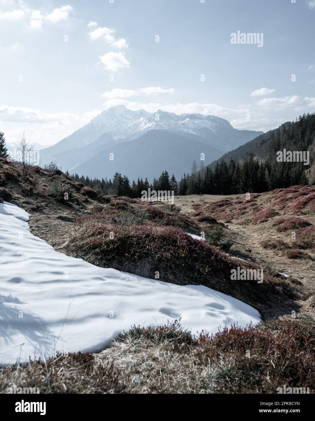 Beautiful mountain scenery in spring with pink flowers in the austrian ...