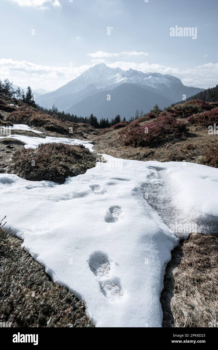 Springtime In Austrian Alps