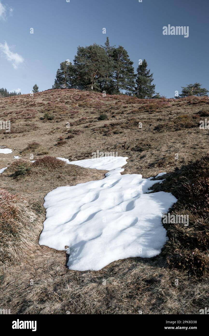 Beautiful mountain scenery in spring with pink flowers in the austrian ...