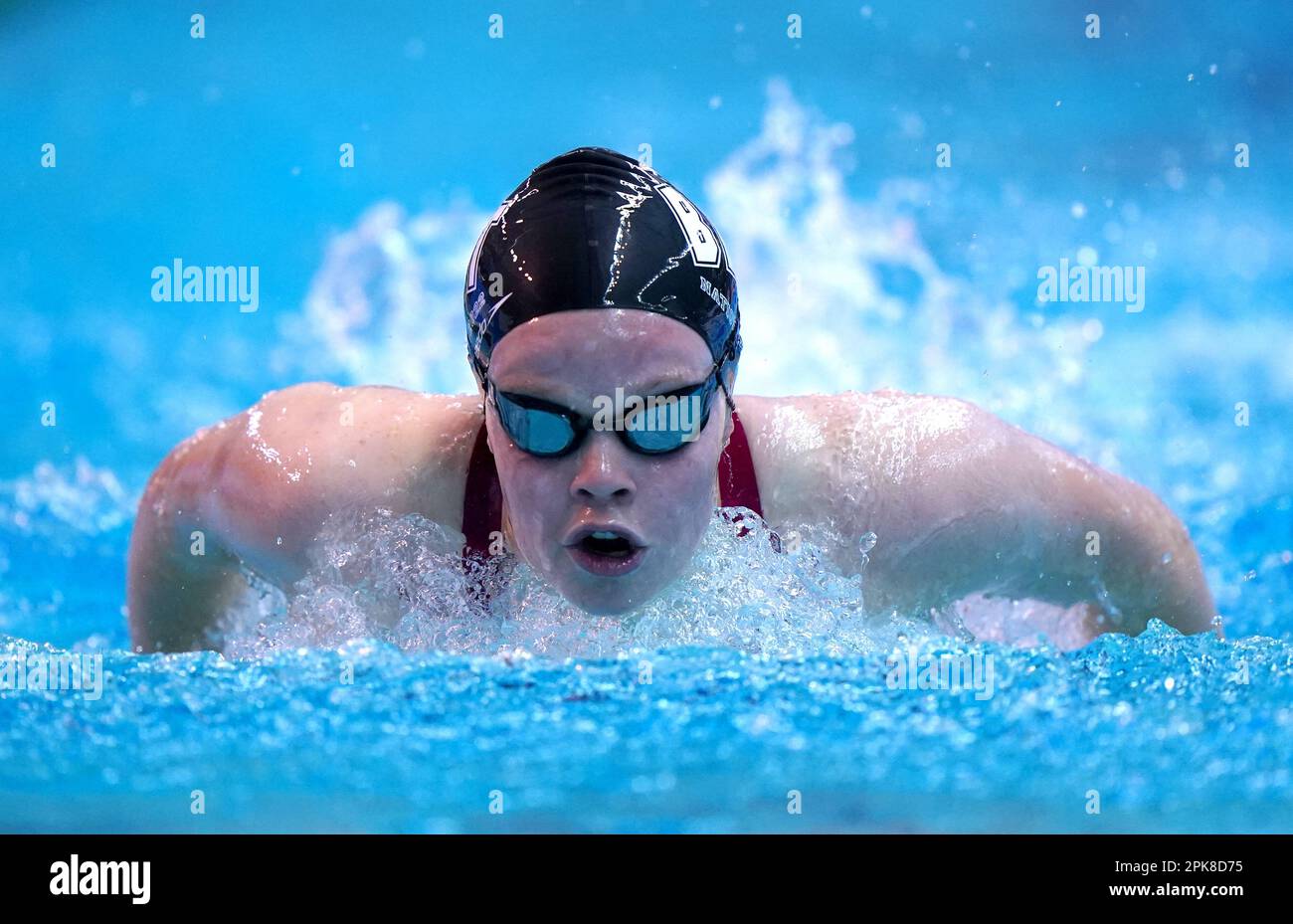 British swimming championships 2023 ponds forge thursday apr hi-res ...