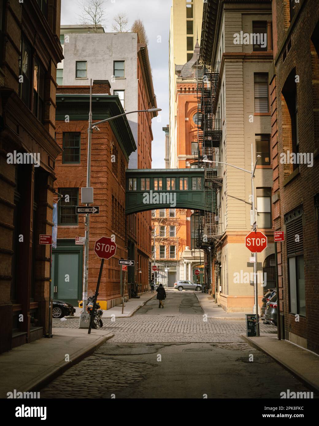 Staple Street Skybridge in Tribeca, Manhattan, New York Stock Photo - Alamy