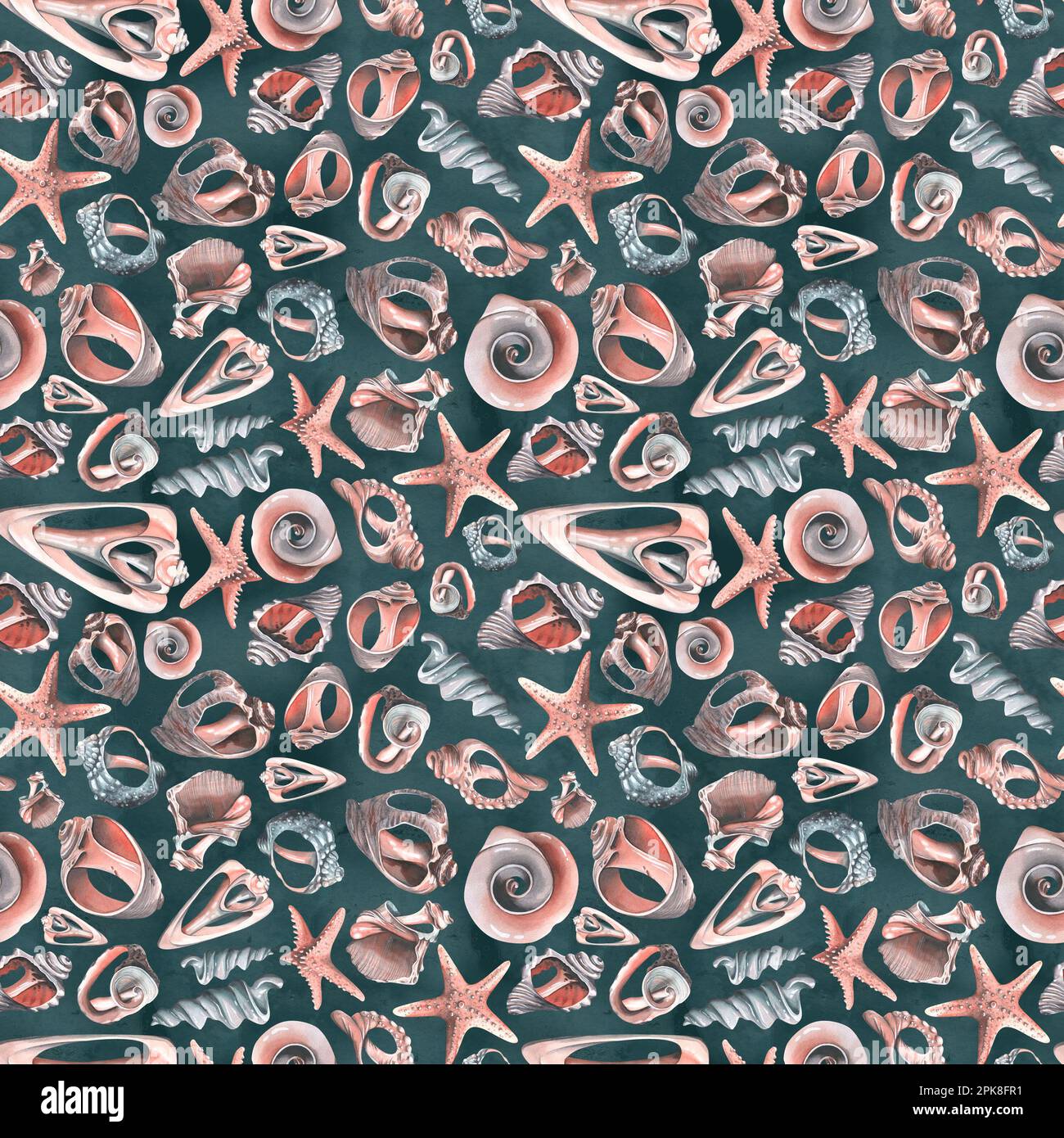 Various broken seashells and starfish on a dark background. Watercolor ...